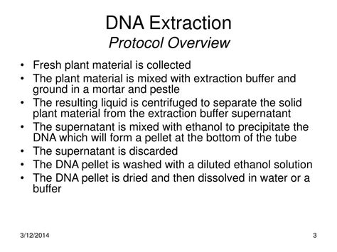 PPT DNA EXTRACTION PowerPoint Presentation Free Download ID