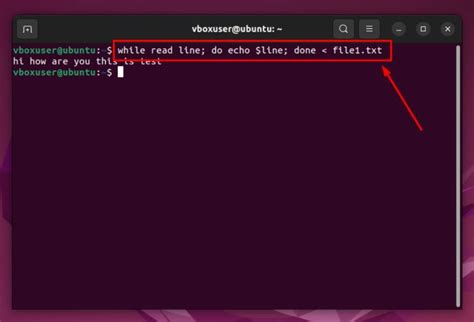How To Read A File Line By Line In Bash 5 Easy Methods
