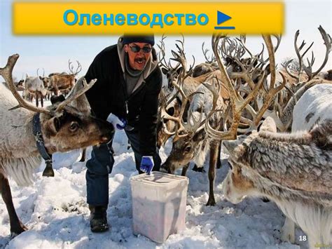 Сельское хозяйство. Растениеводство. Животноводство - презентация онлайн