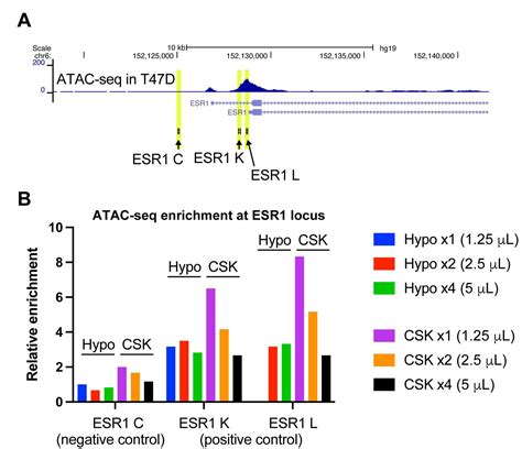 ATAC Seq Optimization For Cancer Epigenetics Research Video Video JoVE