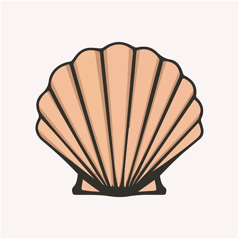 Premium Vector Shells Vector Clipart Art Image With A Solid White Backdrop Premium Vector Shells Vector Clipart Art Image With A Solid White Backdrop