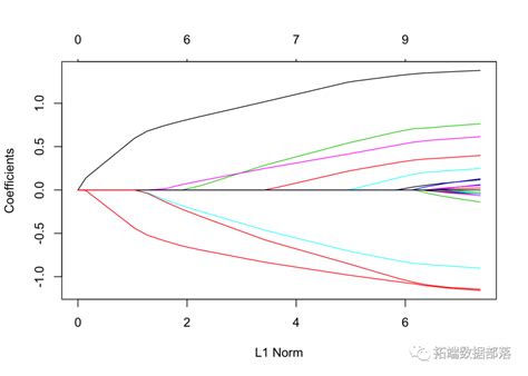 R语言中对lasso回归，ridge岭回归和弹性网络elastic Net模型实现 Csdn博客