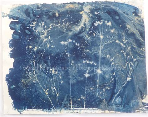 Life Images By Jill Experimenting With Wet Cyanotype