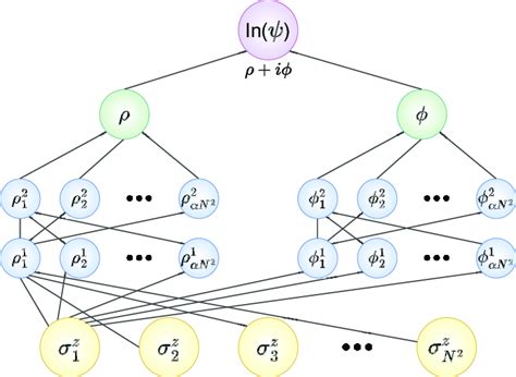 Neural Network Structure Used As Nqs The Inputs Are The Spin Download Scientific Diagram