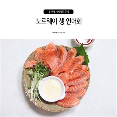 생연어 요리 연어 회덮밥 및 연어회 먹는법 네이버 블로그