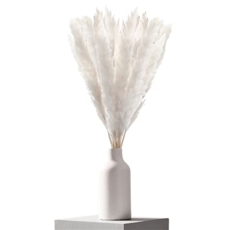 Pampas Grass Decor Large Pompous Vase Dried Pampass Feathers Faux Desertcart Japan