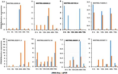 the validation of eight differently expressed lncrnas by quantitative