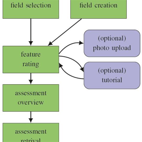General Simplified Workflow Of The App Download Scientific Diagram