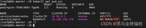 使用kubeadm方式搭建kubernetes集群 kubeadm init apiserver advertise address csdn博客