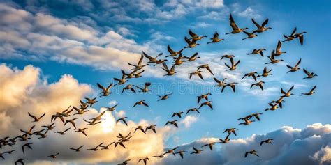 V Shaped Flock Of Birds In Flight Ai Generated Content Flying