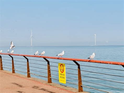 130 Agriculture Slogans To Inspire And Celebrate Farming