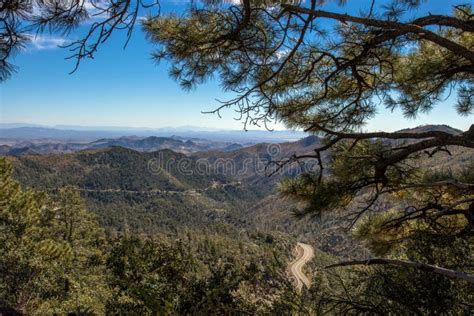 Gila National Forest In New Mexico Stock Image Image Of America