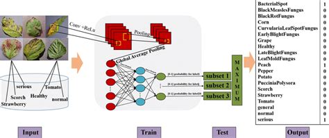 Pipeline Of The Proposed Br Cnn For Crop Leaf Diseases Recognition And Download Scientific
