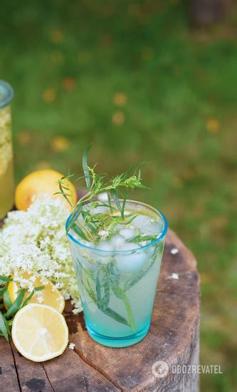 Elderberry Lemonade Recipe For A Refreshing Summer Drink Obozua