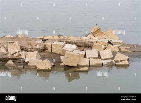 Concrete Block And Caron Black Crow Gray Cement Cinder Block Isolated On River Side Granite Concrete Block And Caron Black Crow Gray Cement Cinder Block Isolated On River Side Granite