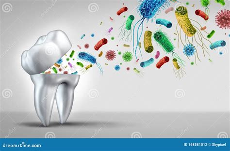 Tooth Germs Teeth Bacteria Stock Illustration Illustration Of Biology