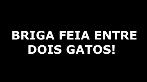 A Briga Foi Feia 😬 Youtube