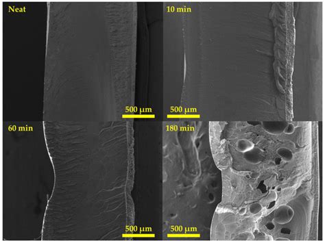 Solid State Surface Patterning On Polymer Using The Microcellular Foaming Process