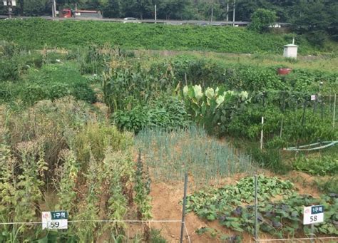 구로구 주말농장 분양