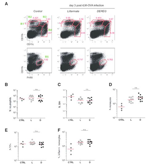 Fig S8 Splenic Innate Subpopulations In Littermate And Treg Depleted