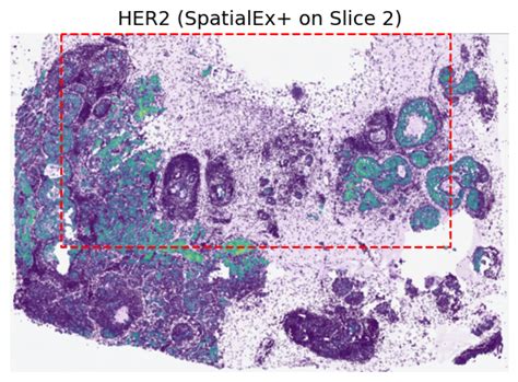 tutorial 4 spatialex enables spatial multi omics through omics