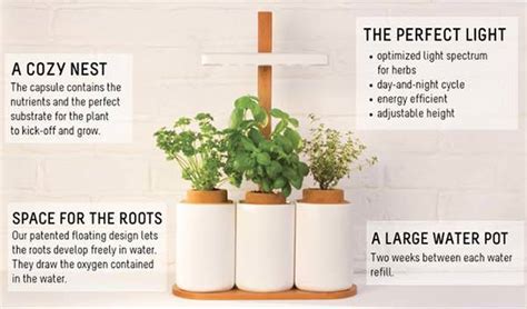 Lilo Is An Easy To Use Plant System With Custom Mobile App Gadgetsin