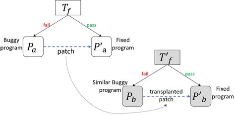 The Automated Patch Transplantation Problem Adapted From 89 Download Scientific Diagram