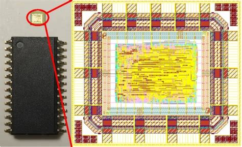 Optical Photo Of Chip Download Scientific Diagram