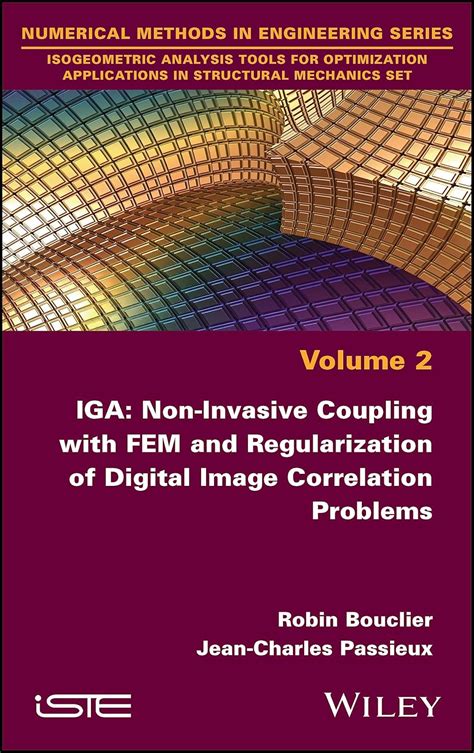 Buy Iga Non Invasive Coupling With Fem And Regularization Of Digital