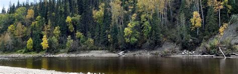 Pembina River Pembina River Provincial Park Alberta Parks