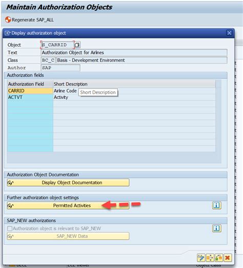 Access Controldcl In Cds View Sapcodes