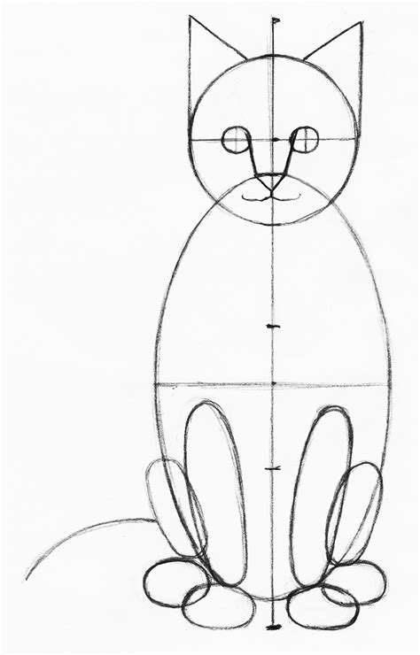 How To Draw A Realistic Cat Step By Step Udemy Blog