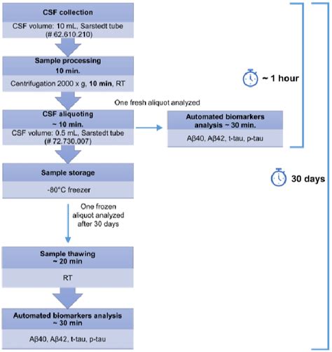 Scheme Of The Experimental Workflow Followed To Test The Impact Of