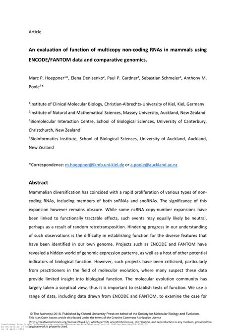 pdf an evaluation of function of multicopy non coding rnas in mammals