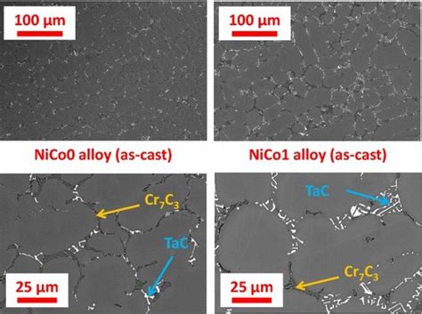 As Cast Microstructures Of The Two Ni Richest Alloys Sembse Top Download Scientific Diagram