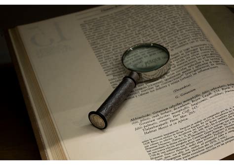 Integrating Elasticsearch Queries With Spring Boot Practical Examples 🔎🚀 By Tuğrulhan Karslı