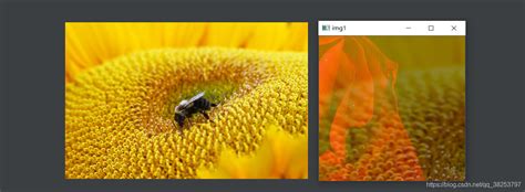 【yolo v4 相关理论】data augmentation mixup、random erasing、cutout、cutmix