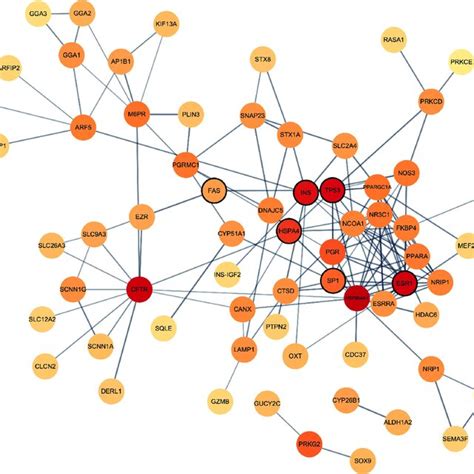 Network Illustration Of Sars Cov 2 Induced Module Genes From The In