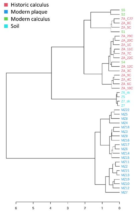 Species Level Clustering Dendrogram Based On The Bray Curtis Index And