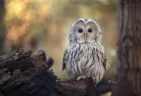 Ingo And Friends Um Rüdi War Es Ein Bisschen Stiller Die Letzten