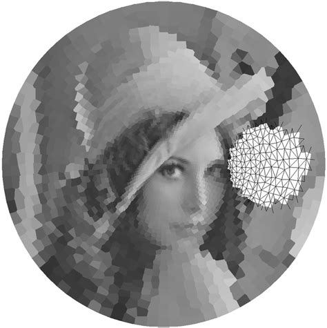 8 Interpolation Of Image Data On A Space Variant Graph From Which A