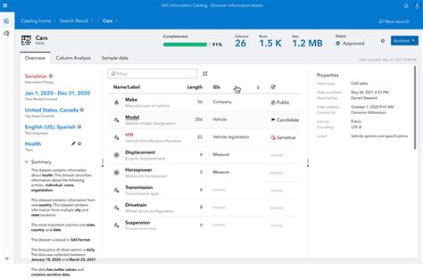 Sas Information Governance Sas