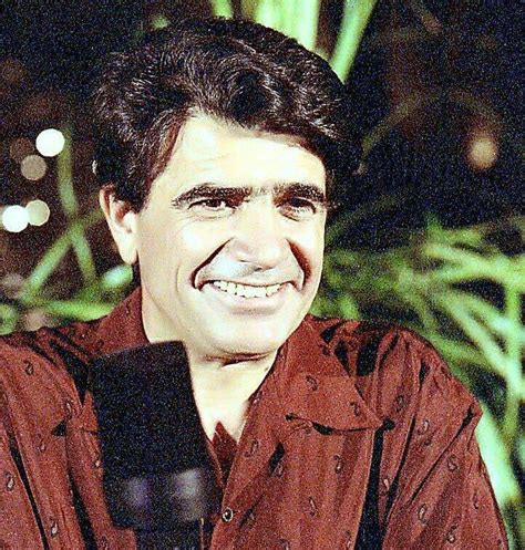 مرغ سحر محمدرضا شجریان طرفداری