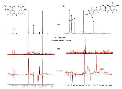 Ligand Based Nmr Binding Assays Performed On Molecules 2a And 6 In The