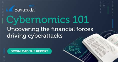 Barracuda Security Cybersecurity Cybernomics Barracuda Partner