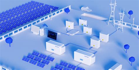 Fig Varieties And Market A1 133 New Collection I Have There Are 10 Sub Varieties Listed In