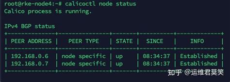 Kubernetes 网络插件 Calico 完全运维指南 知乎