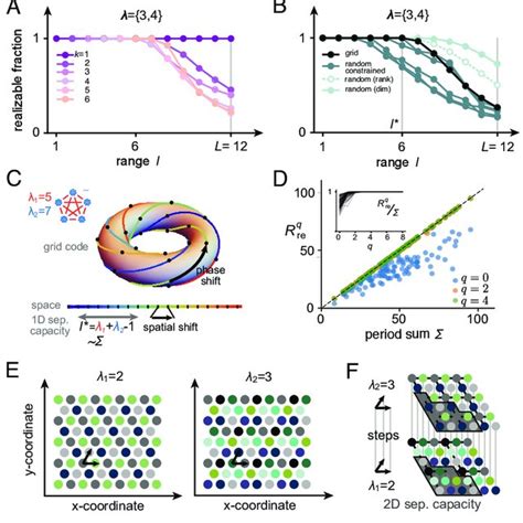 The Geometry Of Structured Inputs A Though The Grid Like Input Download Scientific Diagram