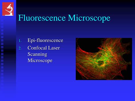 Solution Lec 8c Microscopy Types Of Studypool
