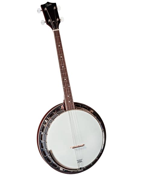 What Is A Resonator Banjo At Olivia Joseph Blog